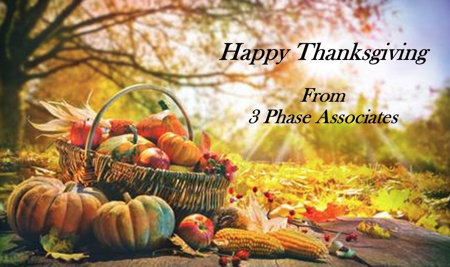 We Wish You a Blessed, Safe, and Happy Thanksgiving! - 3 Phase Associates